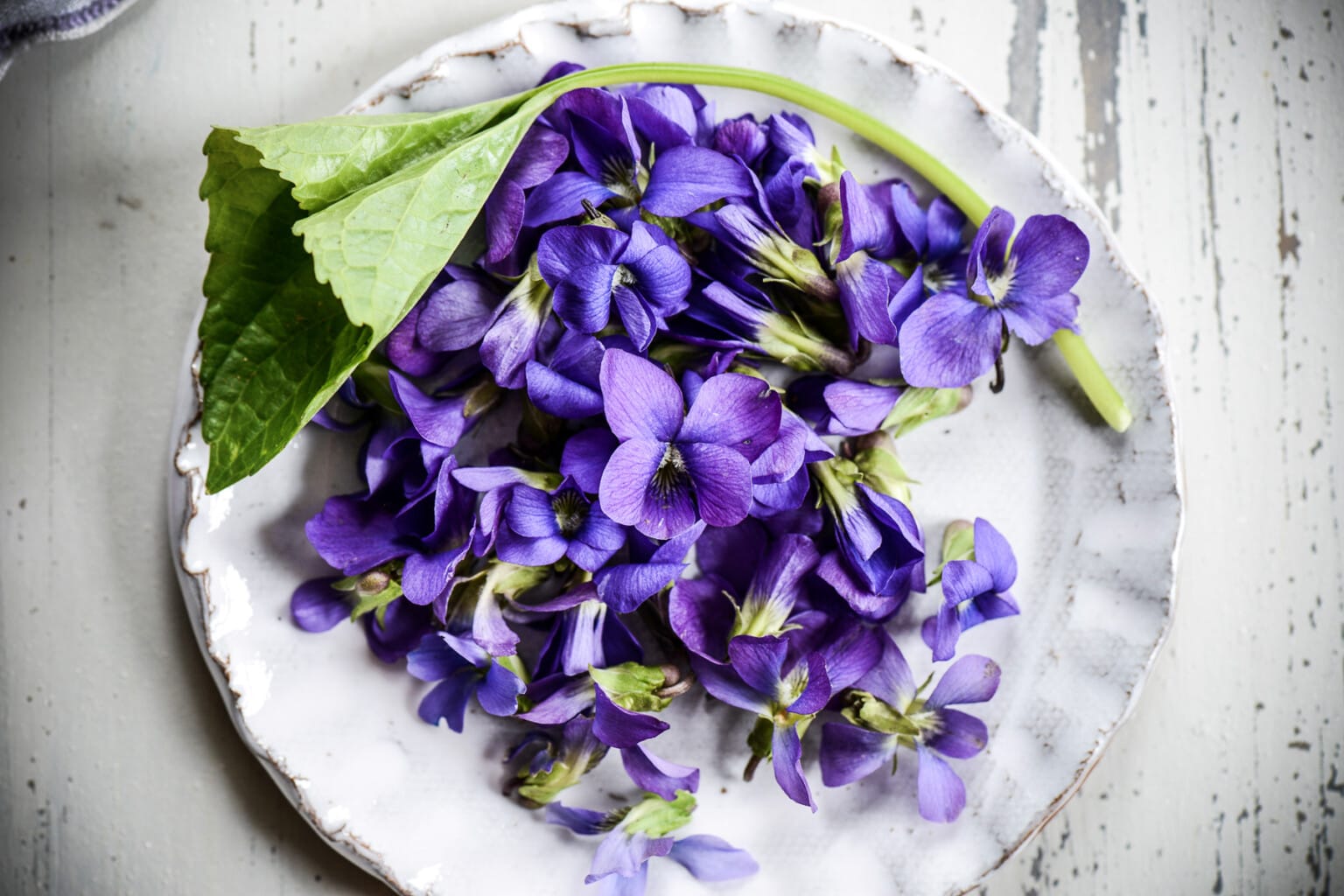 Wild Violet Syrup and Lemonade - Fare Isle