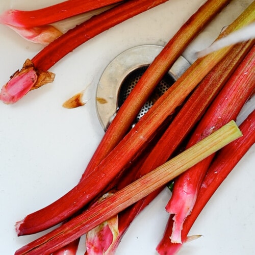 How to Freeze Rhubarb: The Easy Method for Future Use