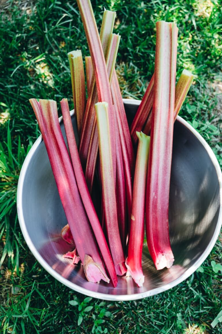 How to Freeze Rhubarb: The Easy Method for Future Use
